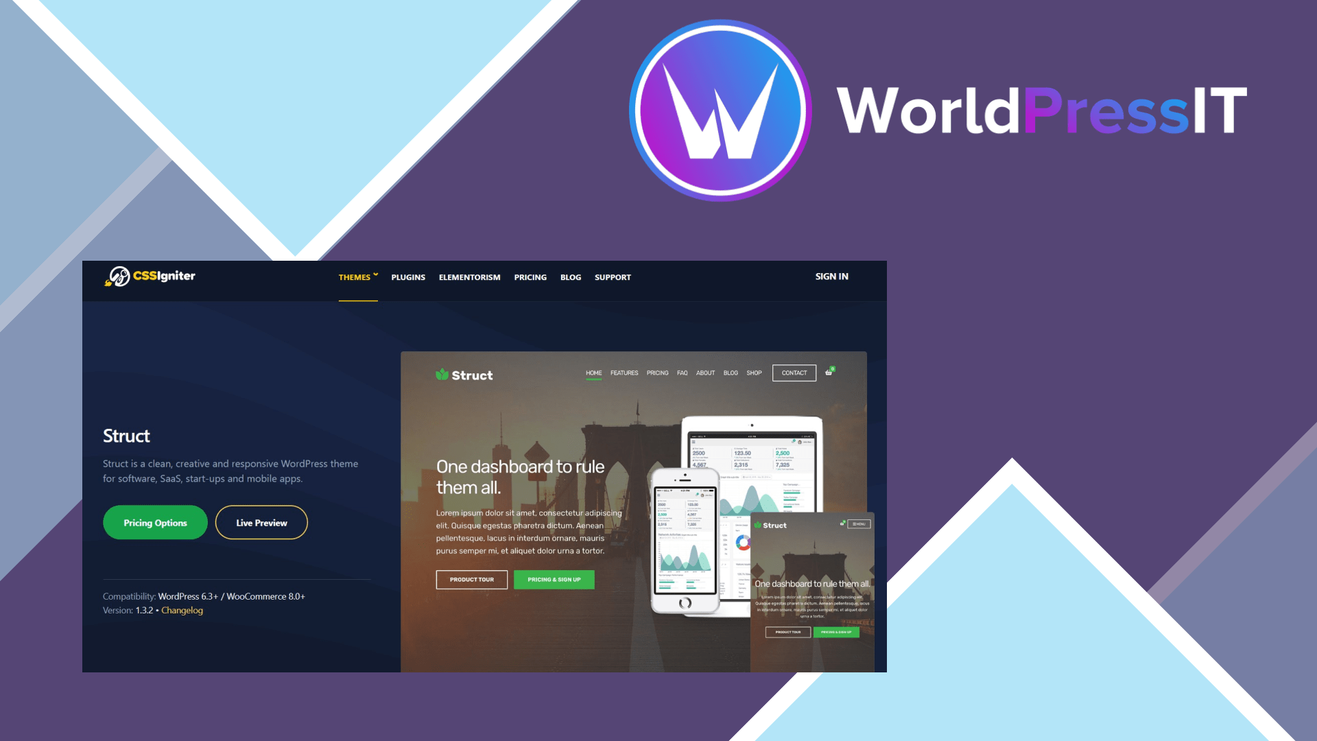CSS Igniter Struct - WorldPress IT